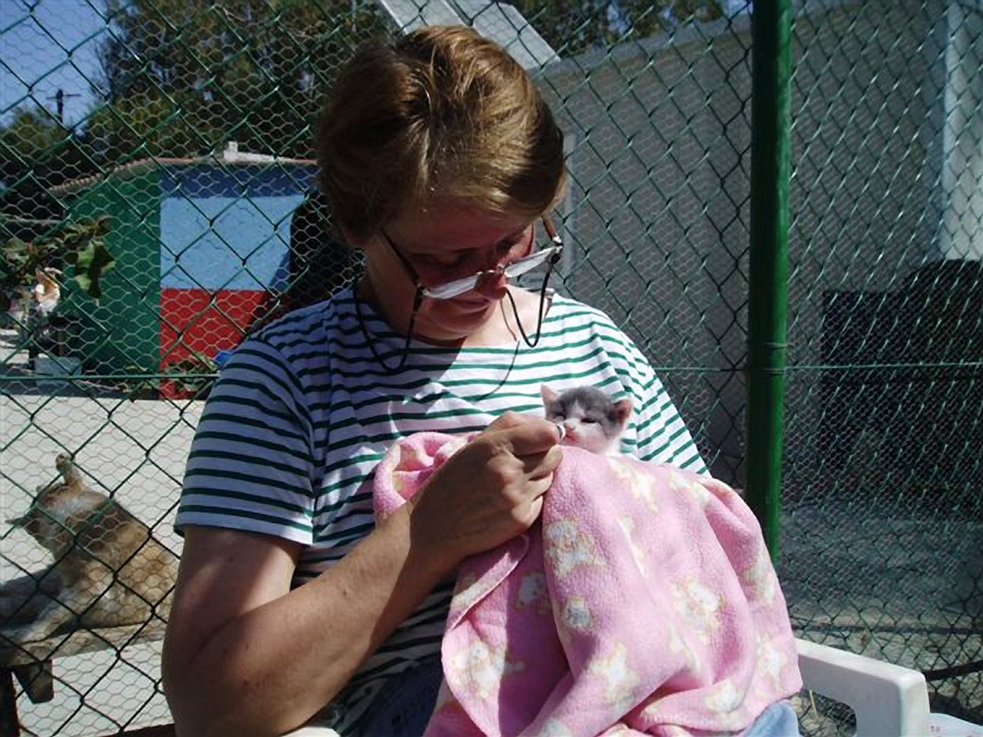 Hand rearing – Malcolm Cat Protection Society