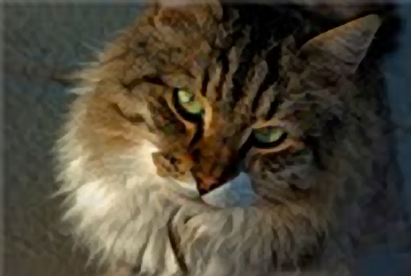 hall-of-fame-334 – Malcolm Cat Protection Society