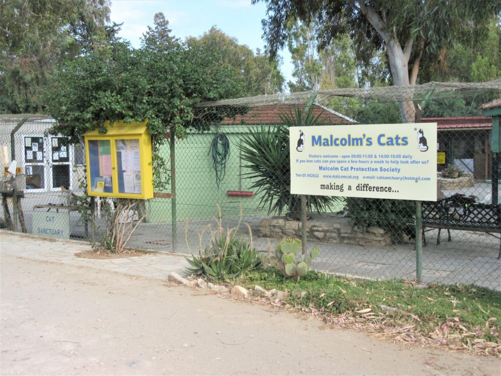 Malcolm Cat Protection Society – Help us make a difference for the Cats ...