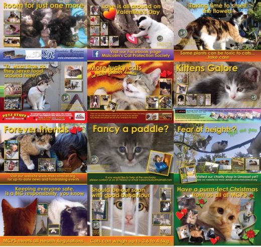 2022 Calendars – Malcolm Cat Protection Society